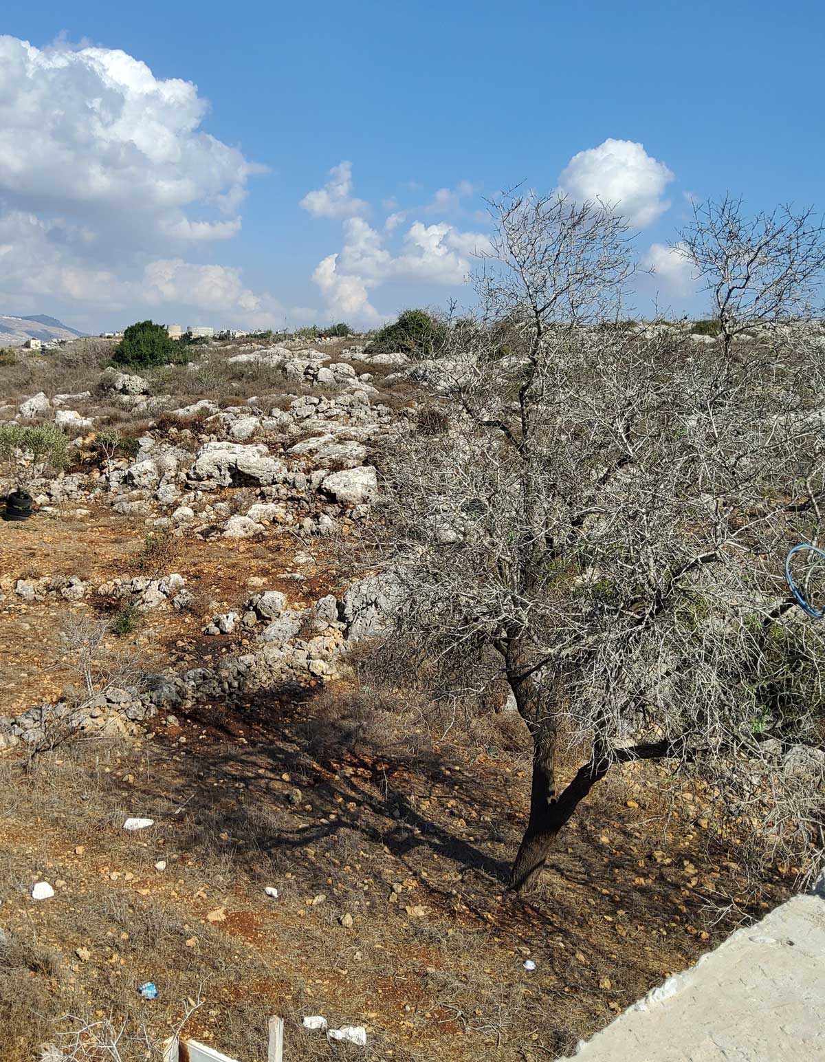 Yasuf, Nablus District: Israeli settlers attacked Palestinian homes ...