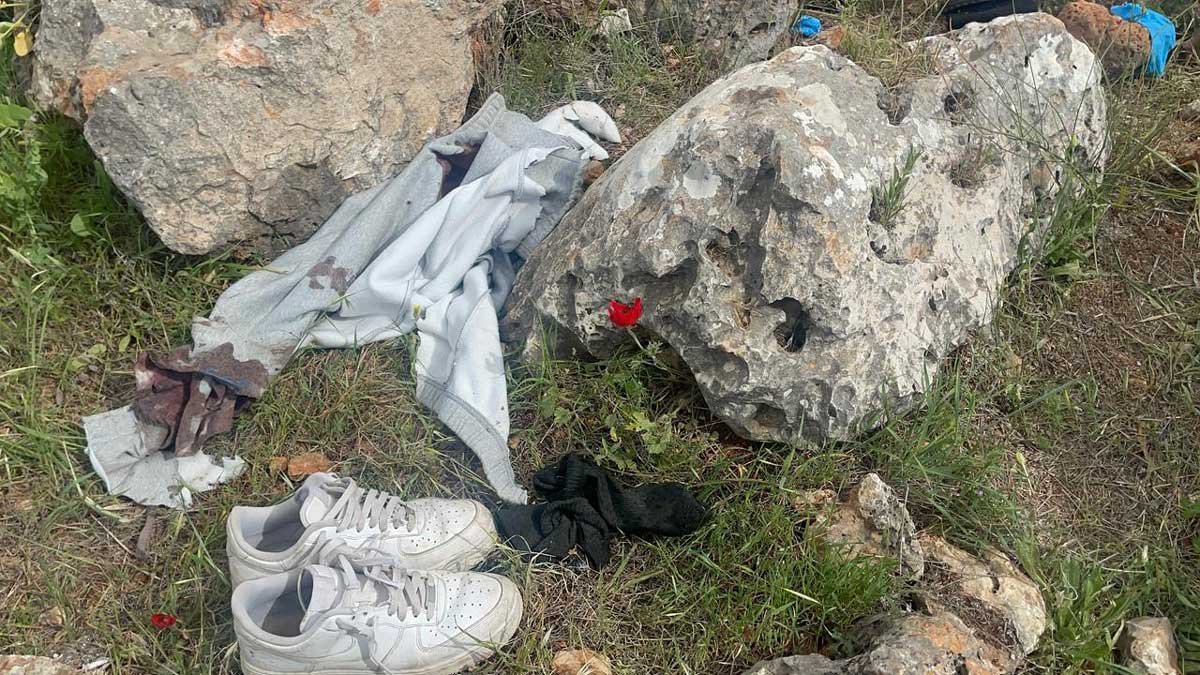 Israeli soldiers in ambush opened massive fire at three Palestinian ...