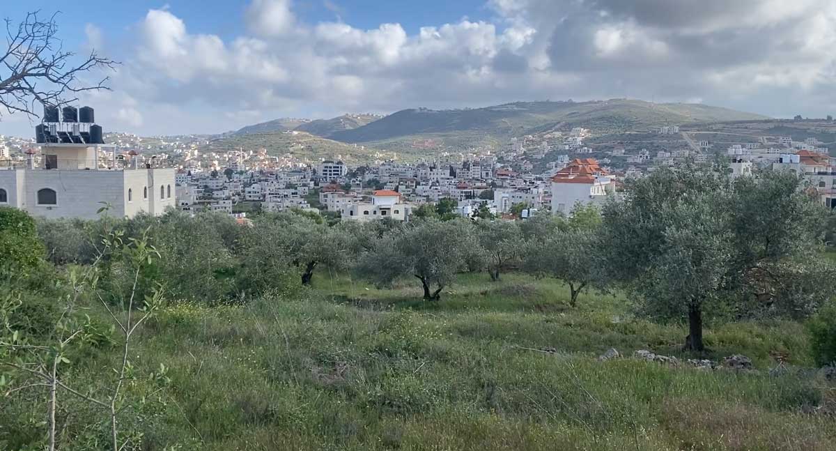 Israeli soldiers in ambush opened massive fire at three Palestinian ...