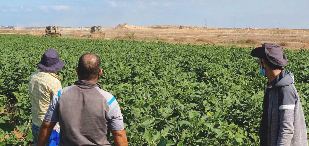 Israel destroys Palestinian farmland in Gaza again, allegedly for security