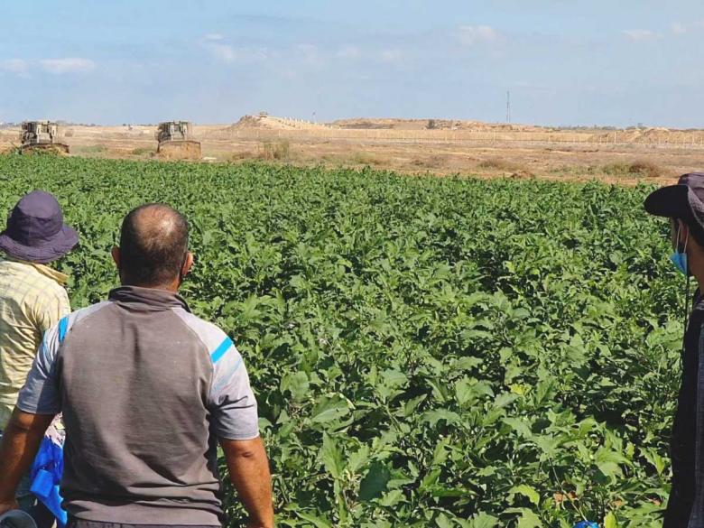 Israel destroys Palestinian farmland in Gaza again, allegedly for ...