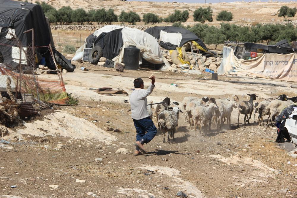 Visit to Khirbet Susiya, a village facing demolition | B'Tselem