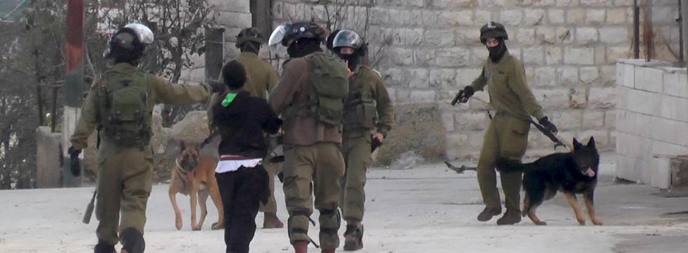 Israeli soldiers set dogs on elderly Palestinians and teenagers in ...