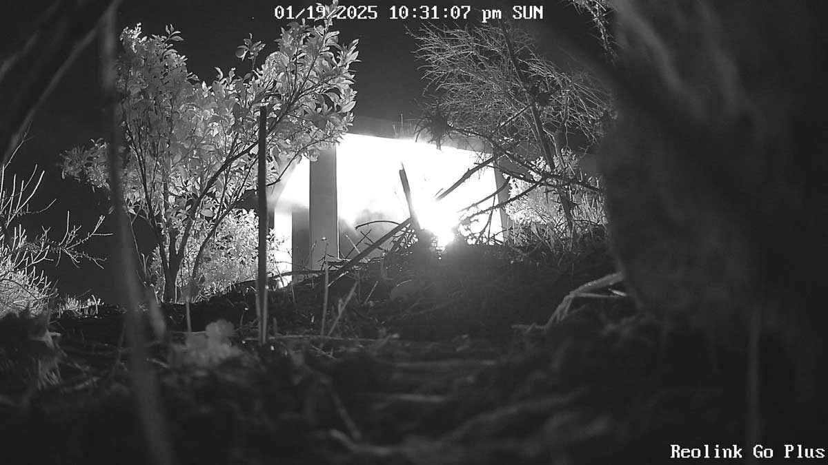 Turmusaya, Ramallah District: Israeli settlers set fires in the ...