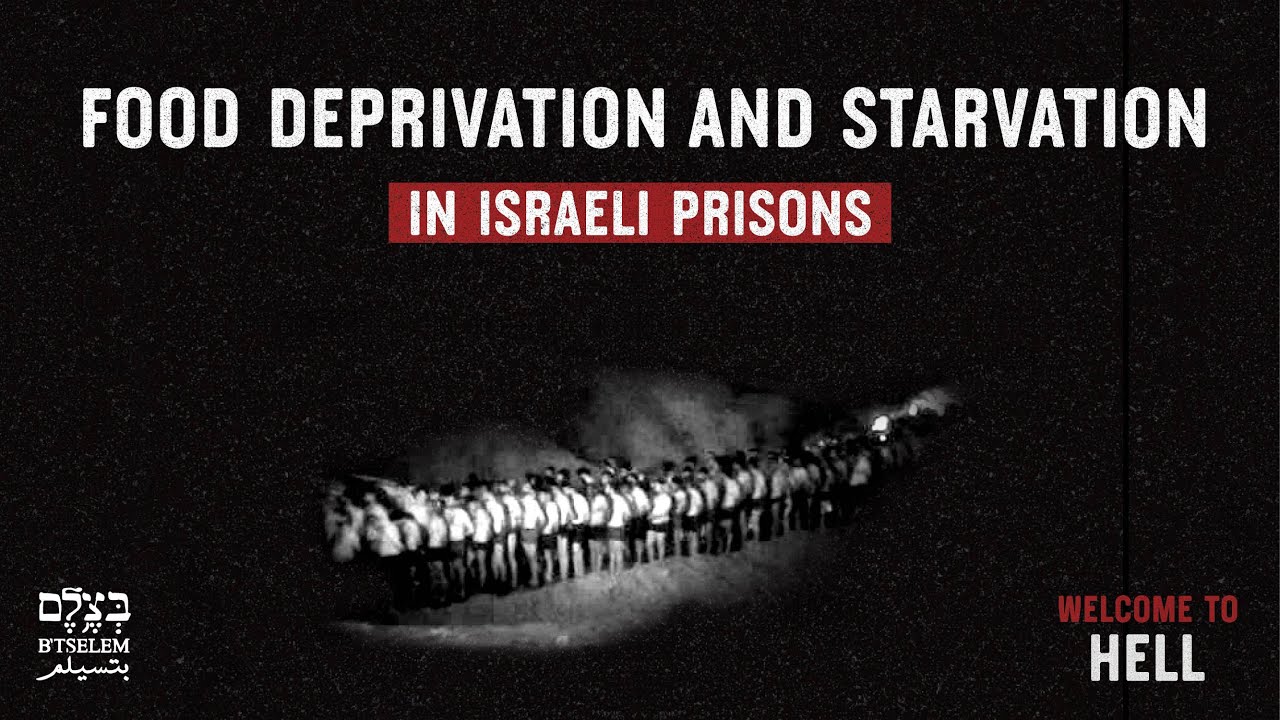 Welcome to Hell: The Israeli Prison System as a Network of Torture ...