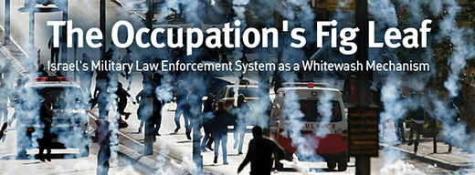 Whitewash Protocol: The So-Called Investigation of Operation Protective ...